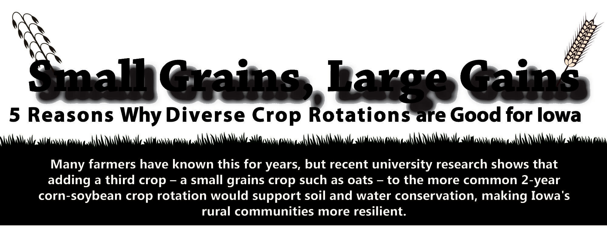 5 Reasons Why Diverse Crop Rotations are Good for Iowa - Practical ... 5 Reasons Why Diverse Crop Rotations are Good for Iowa - Practical ...